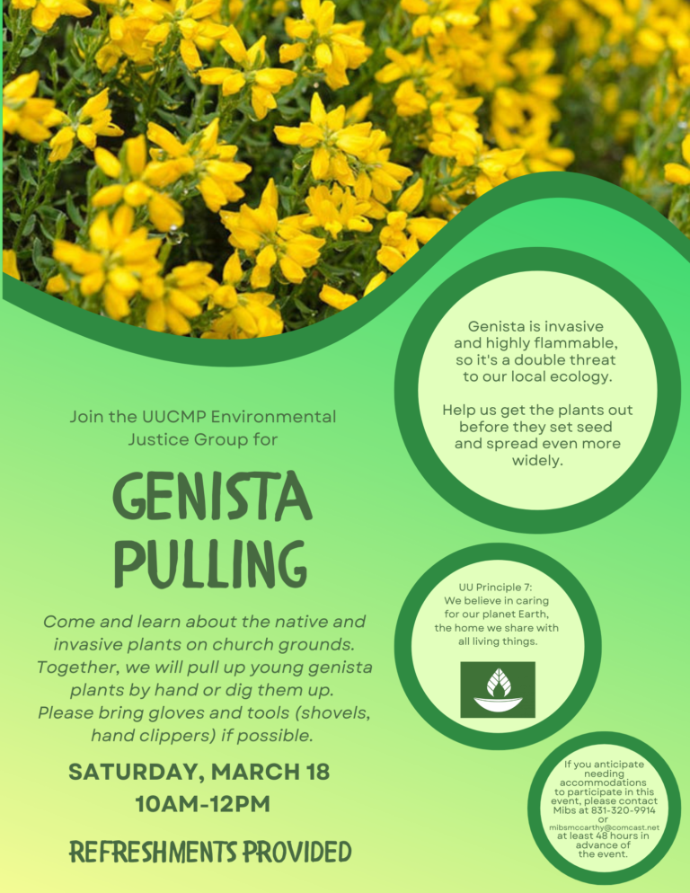 Join the UUCMP Environmental Justice Groups for Genista Pulling ...